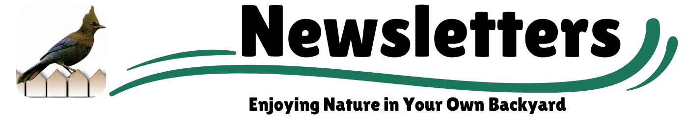 The Backyard Wildbird & Nature Store